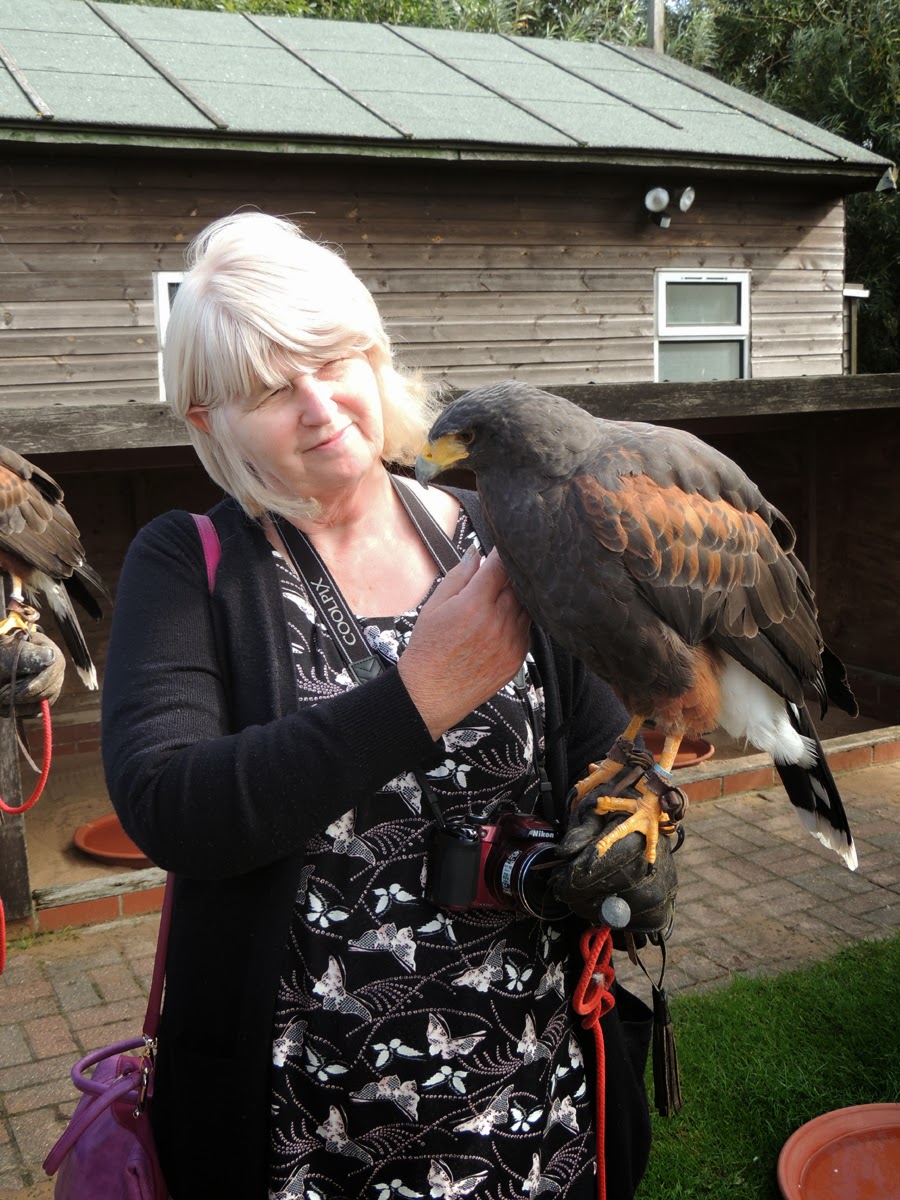 From the Bower: November 2013