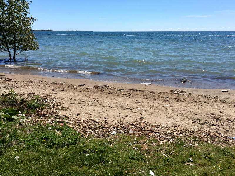 A Clean Shoreline, A Healthier You | To & Fro