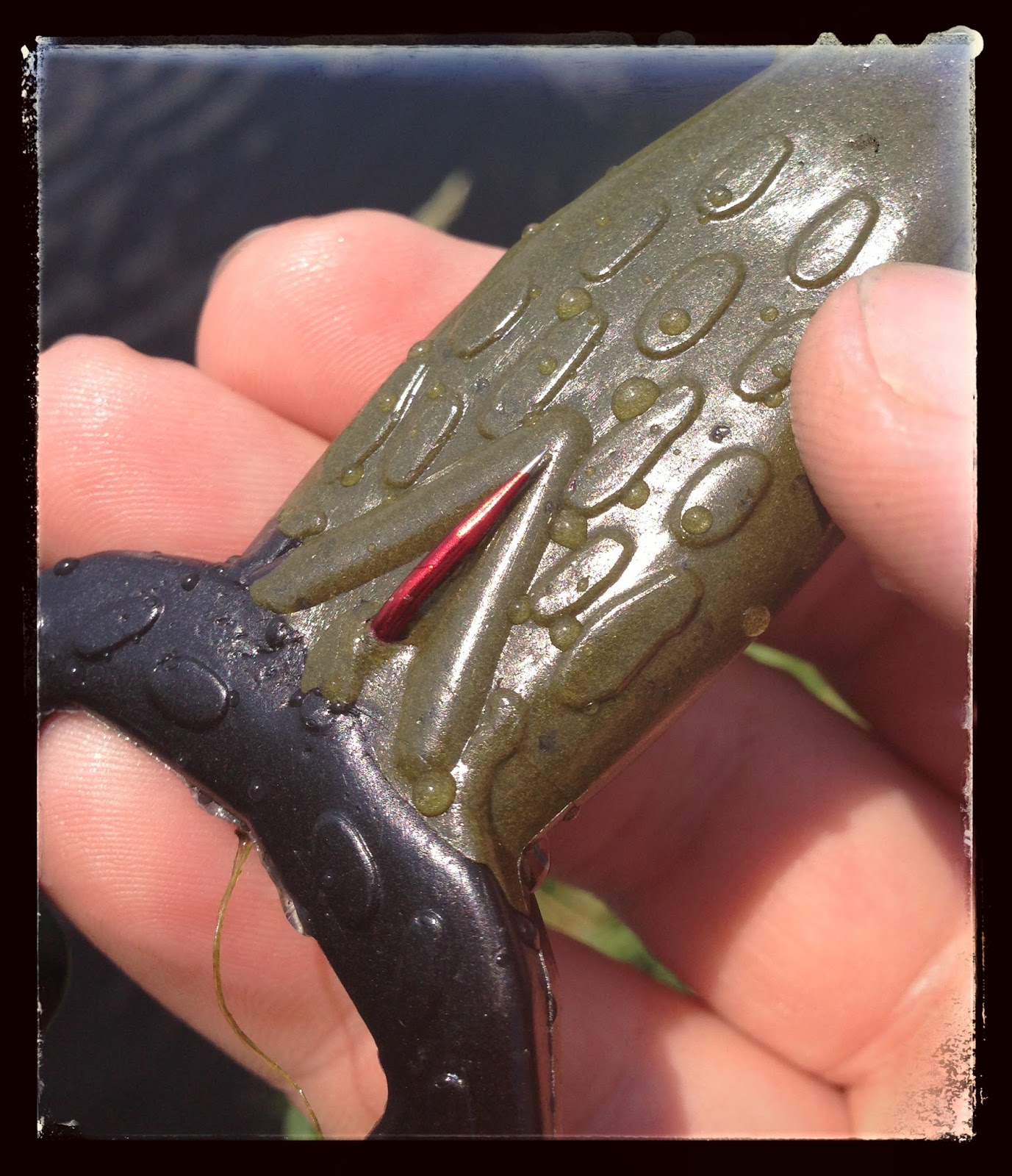 Bass Junkies Frog Pond: Big Bite Baits Top Toad Review