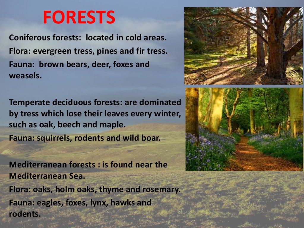 We are scientists!: 5.3. The Earth's terrestrial ecosystems
