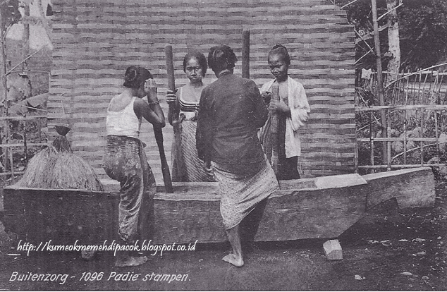 Asal Usul Lesung | Lisung | Kumeok Memeh Dipacok