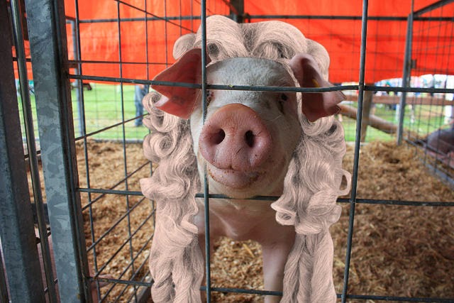 Pigs with Wigs: May 2014