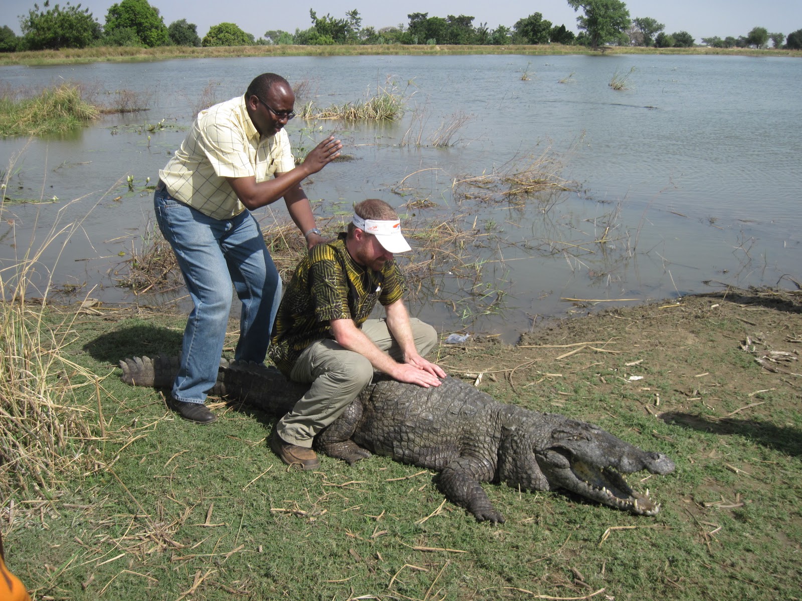 Fr. Ben's Biblical Blog: Pics and Video from Africa