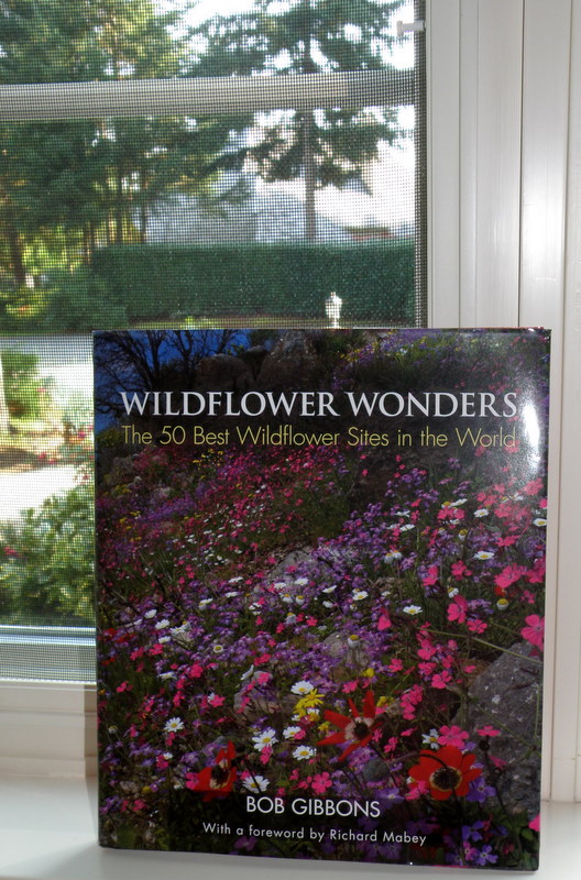 MySecretGarden: Wildflower Wonders: The 50 Best Wildflower Sites in the ...