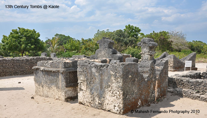 Wildlife and Nature Photo Gallery: Kaole Ruins, Bagamoyo