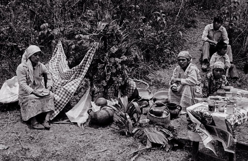 Lenguas y Culturas: Composición étnica de Honduras