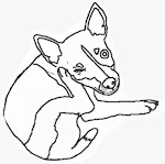 Warren Mountain Rat Terriers