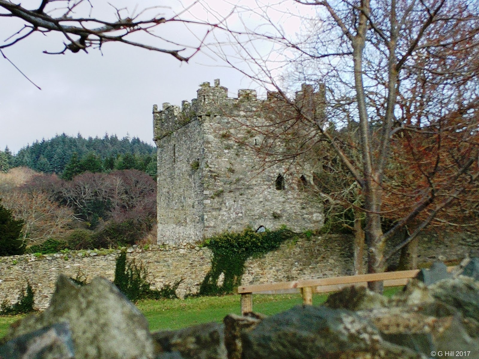 Ireland In Ruins: Kiltimon Castle Co Wicklow
