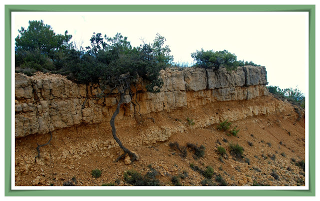 Viajando con la familia MoMa: Albarca, Ermita Mare de Déu del Montsant ...