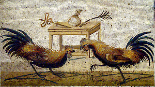 Breed Savers: Standard Old English Game Fowl