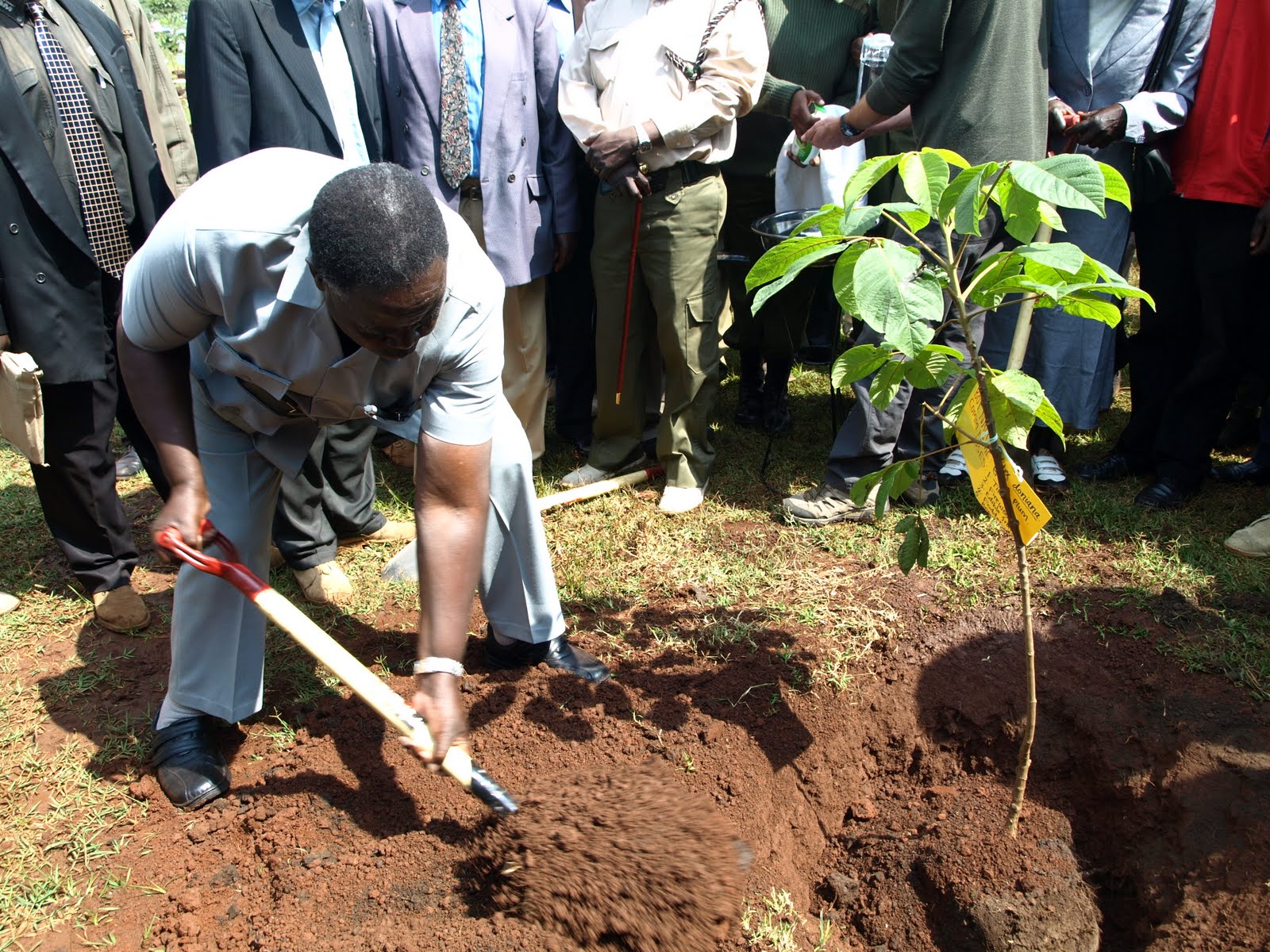 Kenya Forests: The Kenya Forest Service held a major tree planting ...