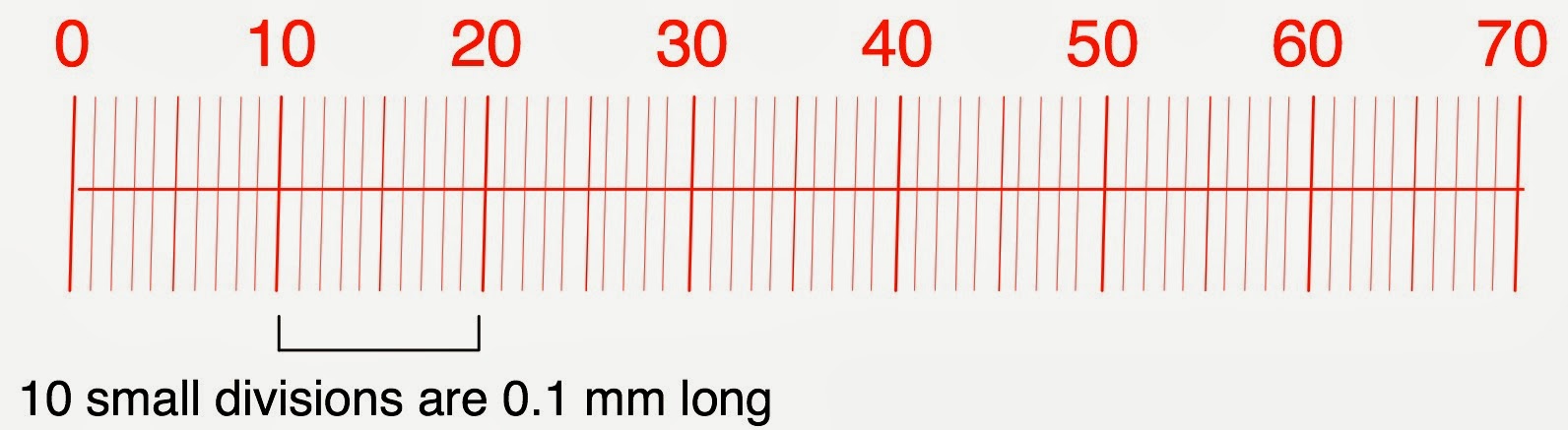 Measurements under the microscope