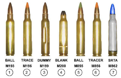 Wild game hunt: Ammunition Types and Characteristics