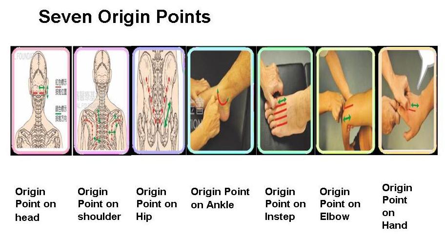 Origin Point Therapy Manual In English