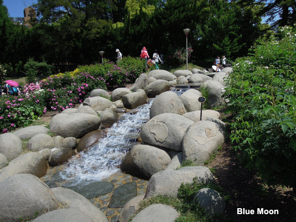 Utsubo Park - Osaka, Japan