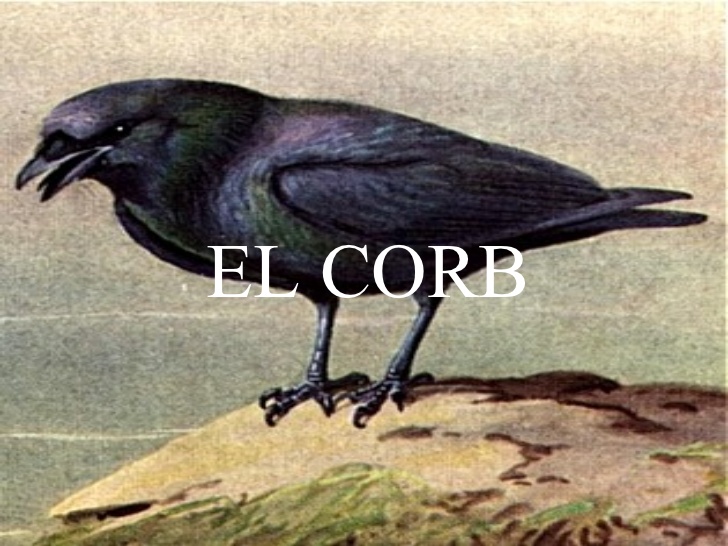 Un riu de llibres: 2016