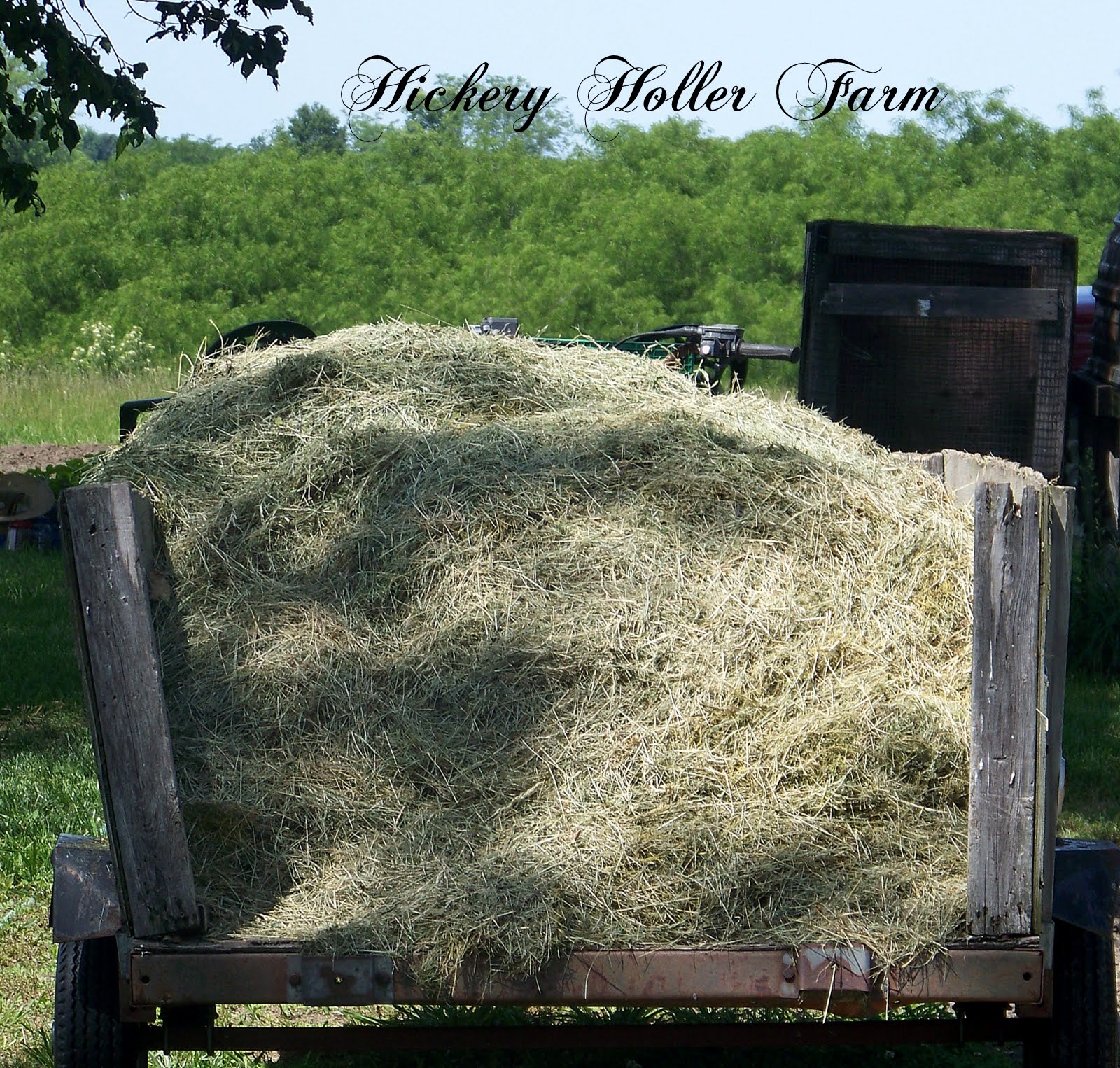 Hickery Holler Farm: Supper