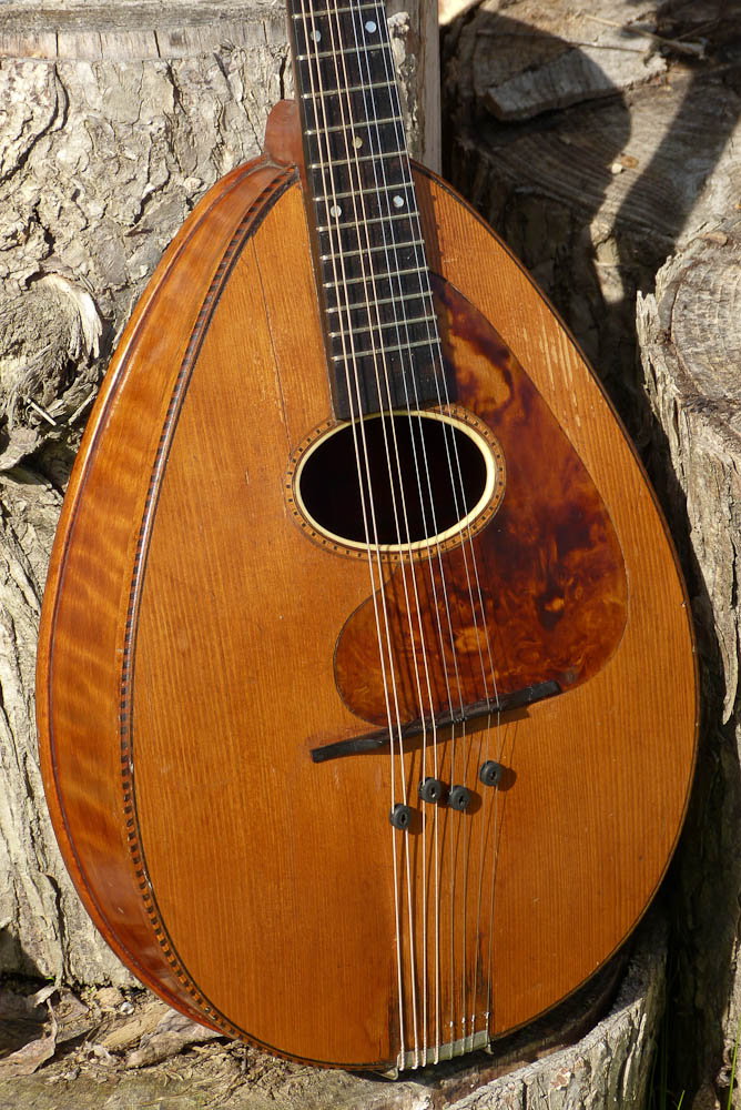 c.1923 Weymann Style 30 Mandolute Mandolin