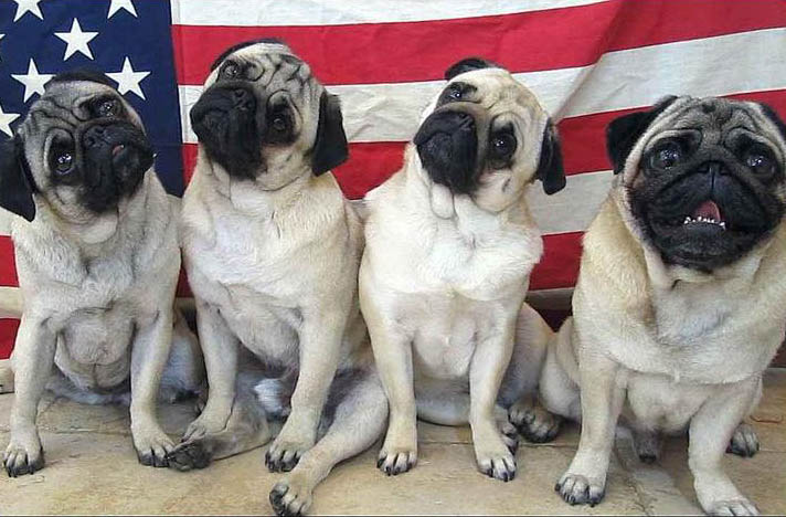 Lia, Zoe & Friends: May 2011