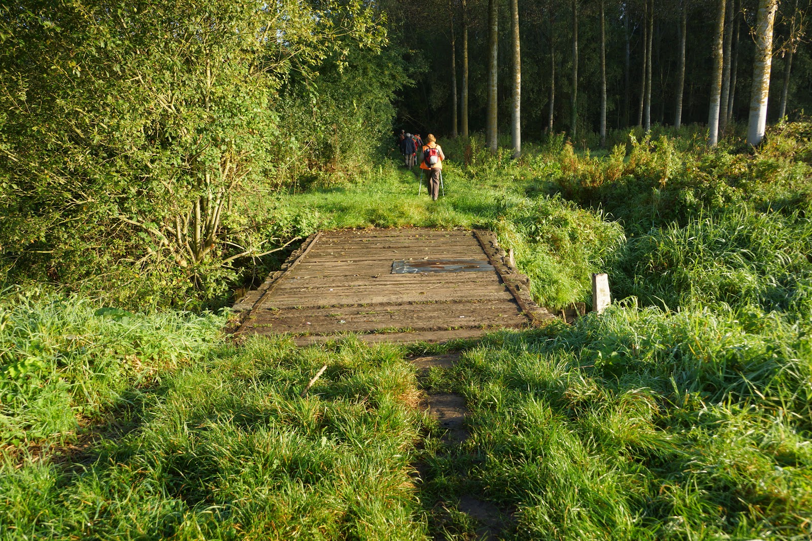 Rando Wardrecques: 25/09/2014 Roquetoire le sentier de la vallée