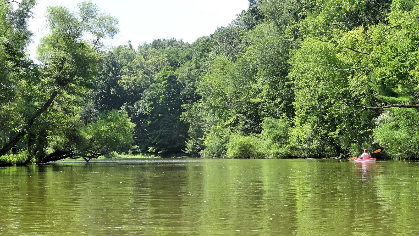 Jim and Bev: Kayaking at Ohio's Findley State Park