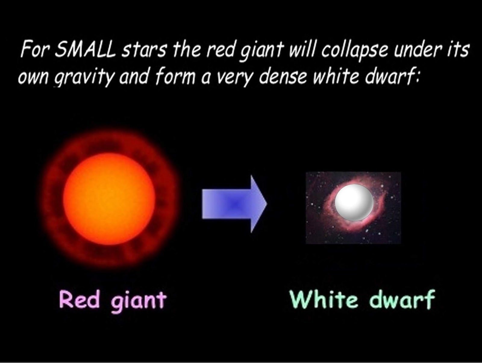 Whats The Difference Between Red Dwarf And Red Giant Stars