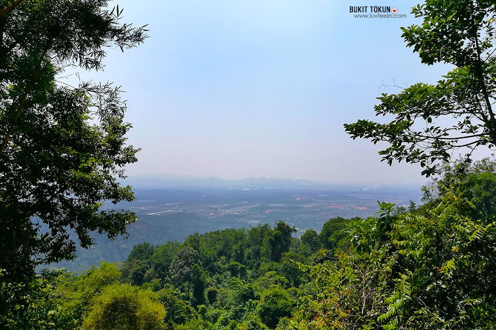 Bukit Tokun 大山脚【卓坤山】孟光水坝 | 板根大树 | 山顶电讯塔 - 乐飞翎 ♥ LUVFEELIN