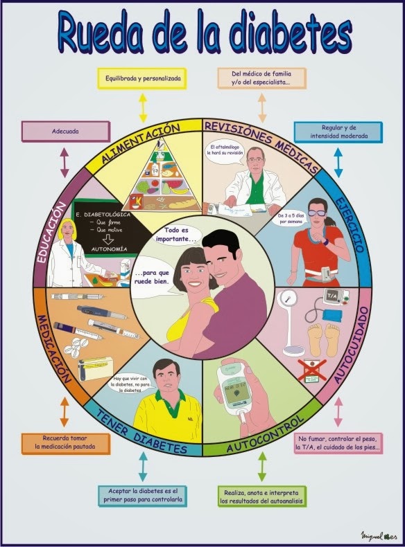 CAMINO CALVO : Dia Mundial de la Diabetes 2013