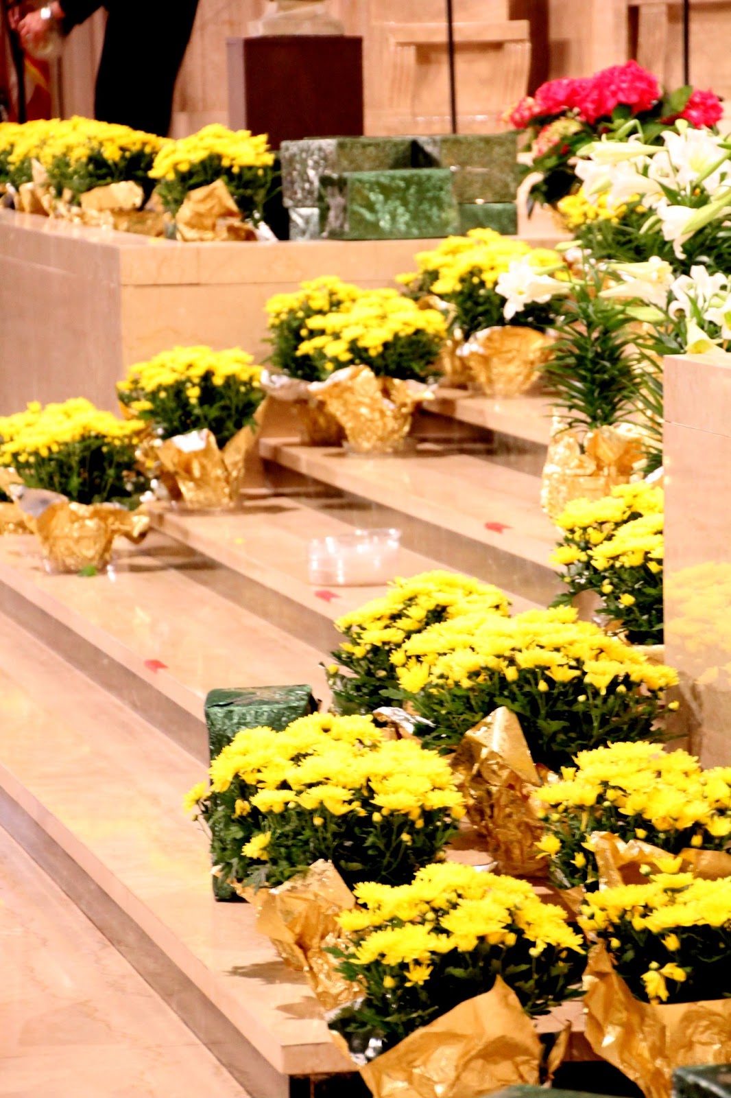 So I think I'm a photographer now...: Basilica of the National Shrine ...