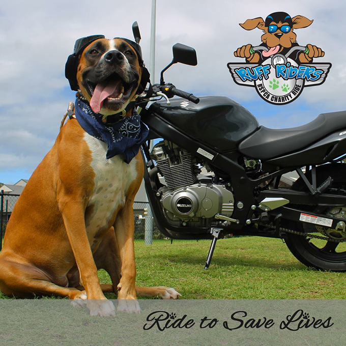 RSPCA Ruff Riders Bike Ride - March 12 | Australian Dog Lover
