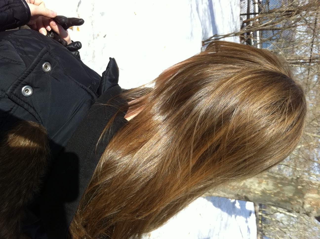 Forever Isn't Free: Celebrity Highlights = Worst Hangover Ever