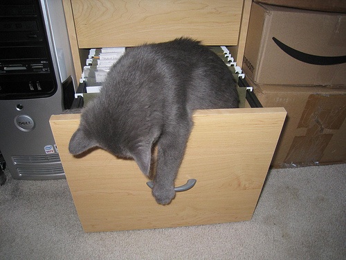 paper bag & string: 10 Busy Office Cats Do Some Filing: Workday Tuesday ...