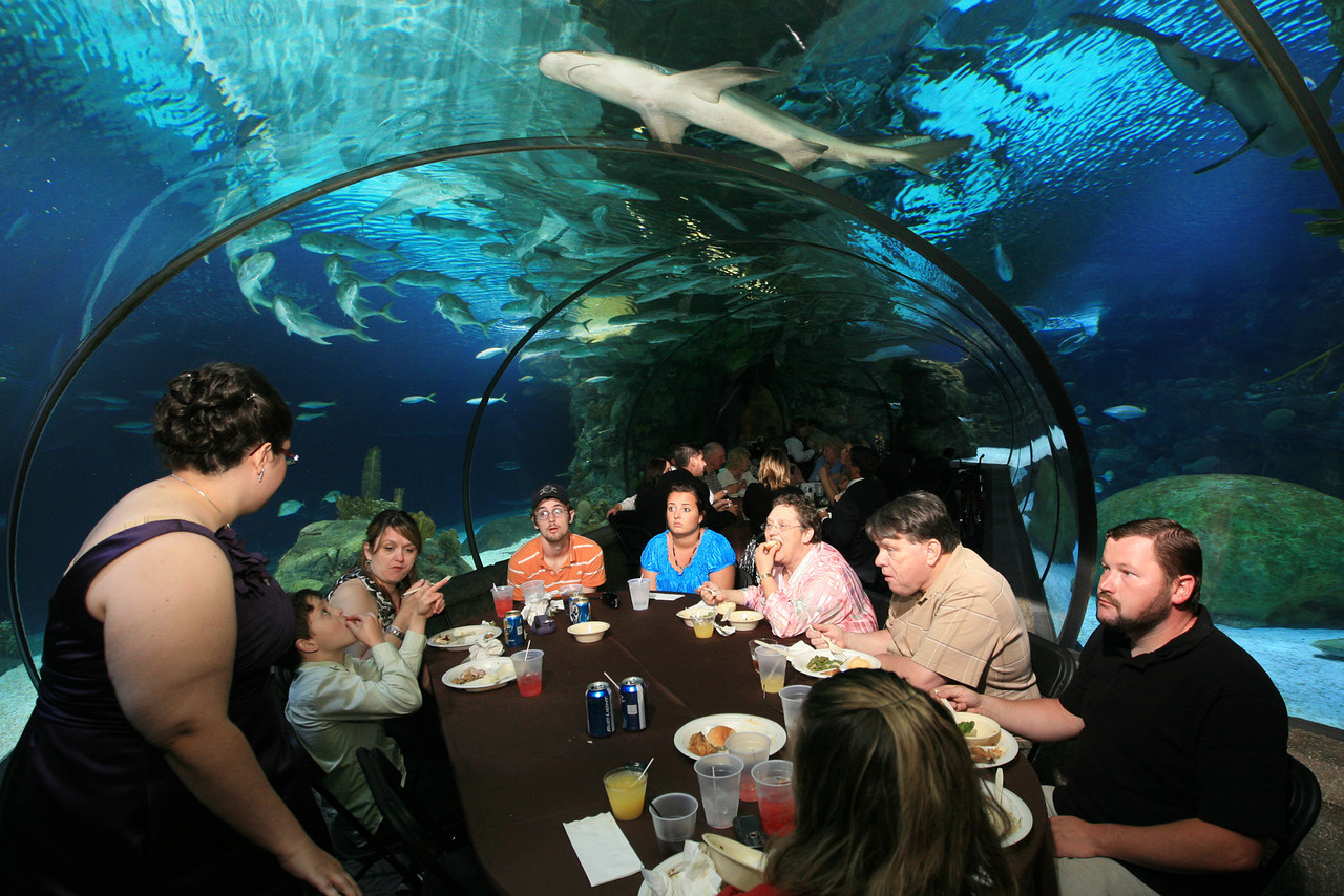 Photography Omaha: Reception Halls in Omaha Review: The Henry Doorly ...