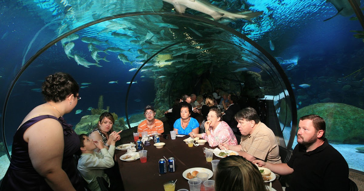 Photography Omaha: Reception Halls in Omaha Review: The Henry Doorly ...