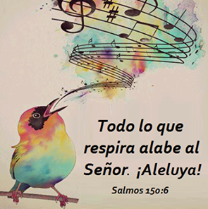 musica cristiana: TODO LO QUE RESPIRE ALABE A JEHOVA.