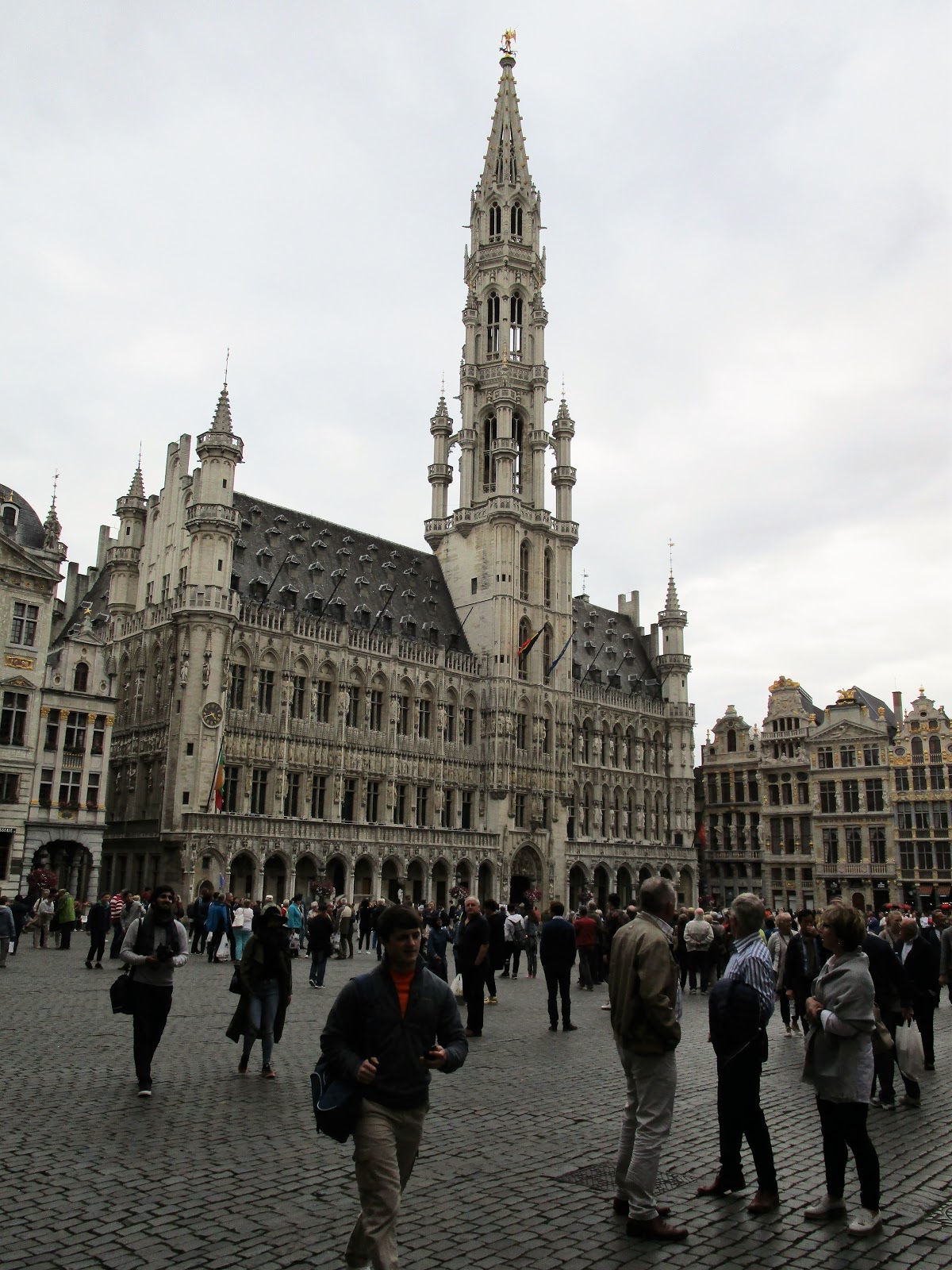 Mike Kraus: Sprout To Be Brussels