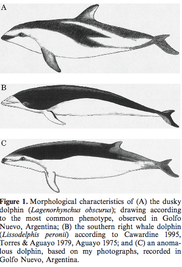 Which animals crossbreed in the wild? : r/biology