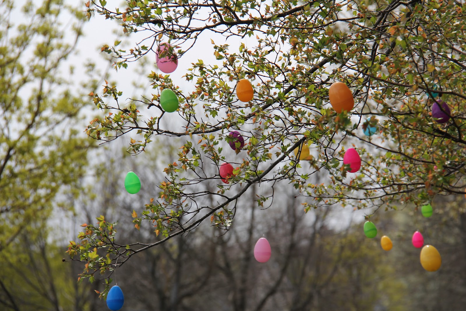 Sometimes Creative: Easter Egg Tree