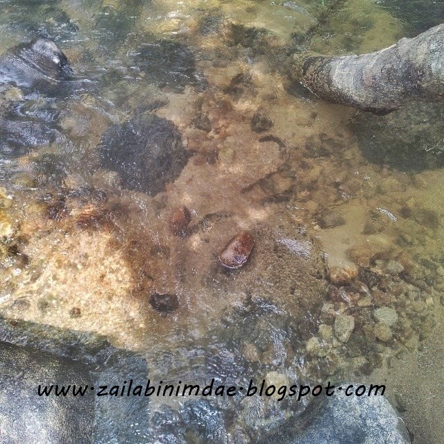 Diari Mekla Seorang WAHM: Tempat Menarik Di Selangor : Aktiviti Mandi ...