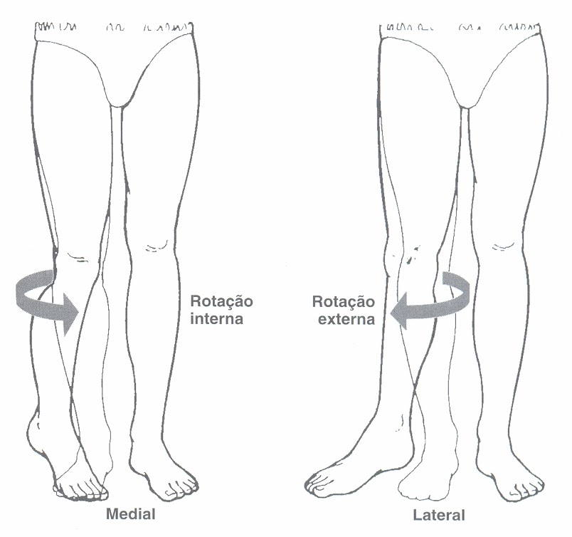 Blogão de Fisio: PLANOS E EIXOS ANATÔMICOS