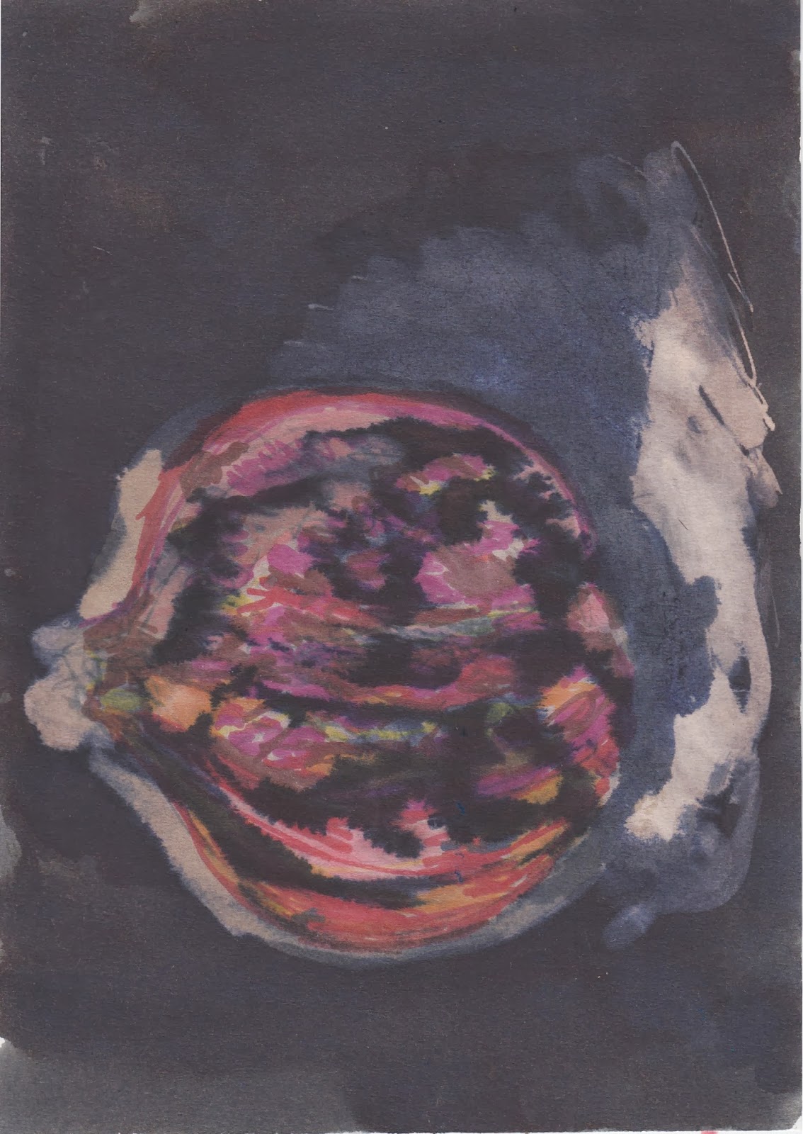 Final Major: Observational Drawings