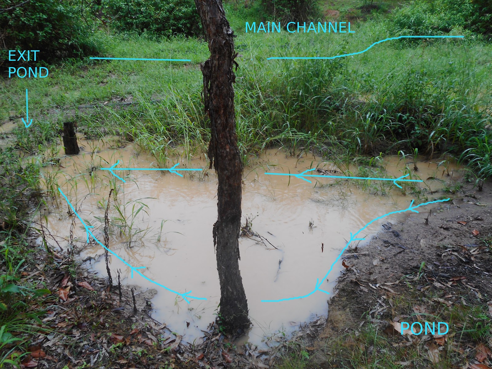 Gully Grove: Natural sequence farming