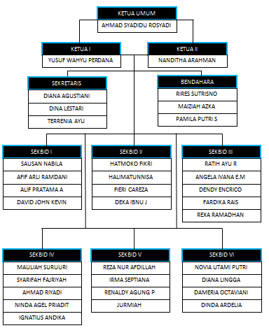 Biodata: Bagan Struktur Organisasi OSIS dan MPK TH. 2014 - 2015