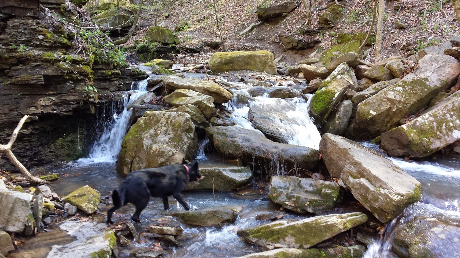 Rick's Hiking Blog: Pack Rat Falls, Arkansas Ozarks