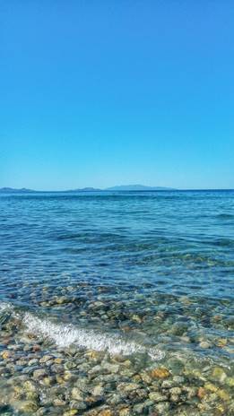 CONOCIENDO EL CARDONAL en BAJA CALIFORNIA SUR