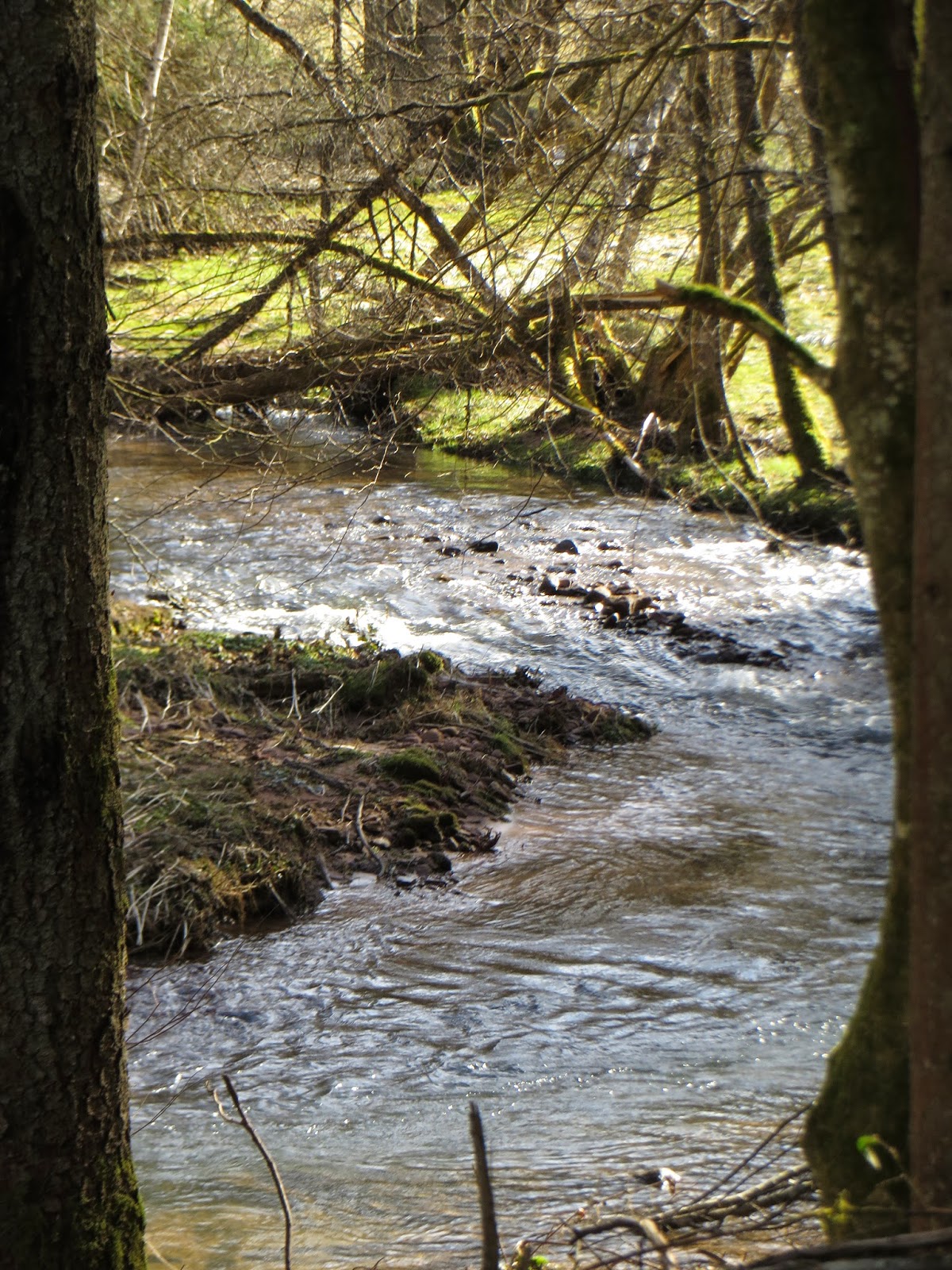 INSIEME! Foto-Seite: SV Breitenberg/Martinsmoos - VfR Beihingen 2:2