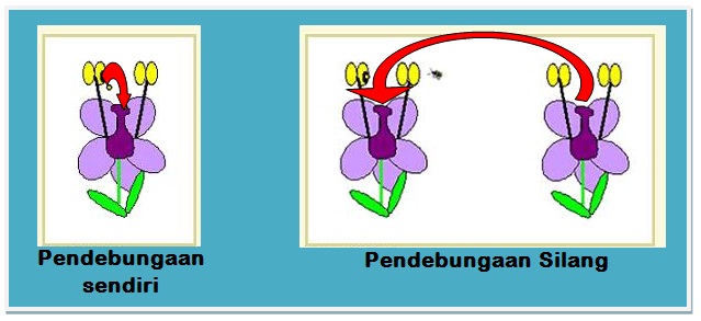 CikGu ReMy: [Quick Revision] F3 - Chapter 4