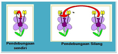 CikGu ReMy: [Quick Revision] F3 - Chapter 4