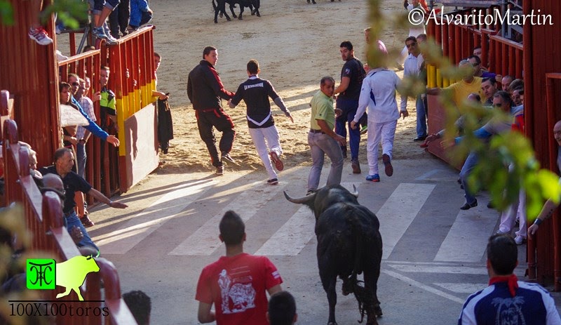 100x100 Toros: Tercer encierro de Arganda del Rey desde el objetivo de ...