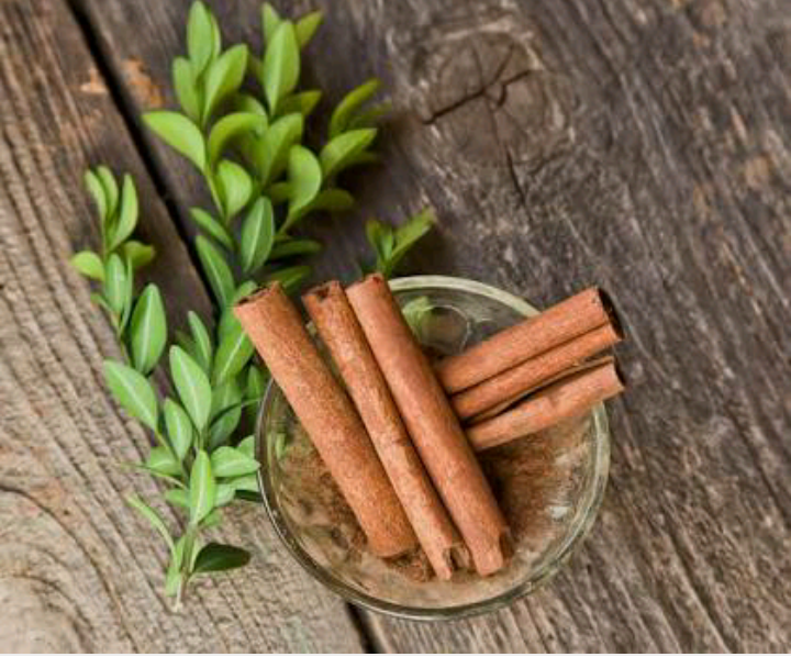 Apa sih kandungan dalam Kayu Manis